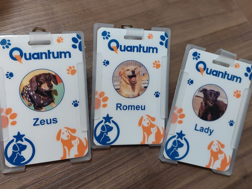 Noticenter - Quantum Engenharia promove campanha solidária em prol dos ... Noticenter - Quantum Engenharia promove campanha solidária em prol dos ...