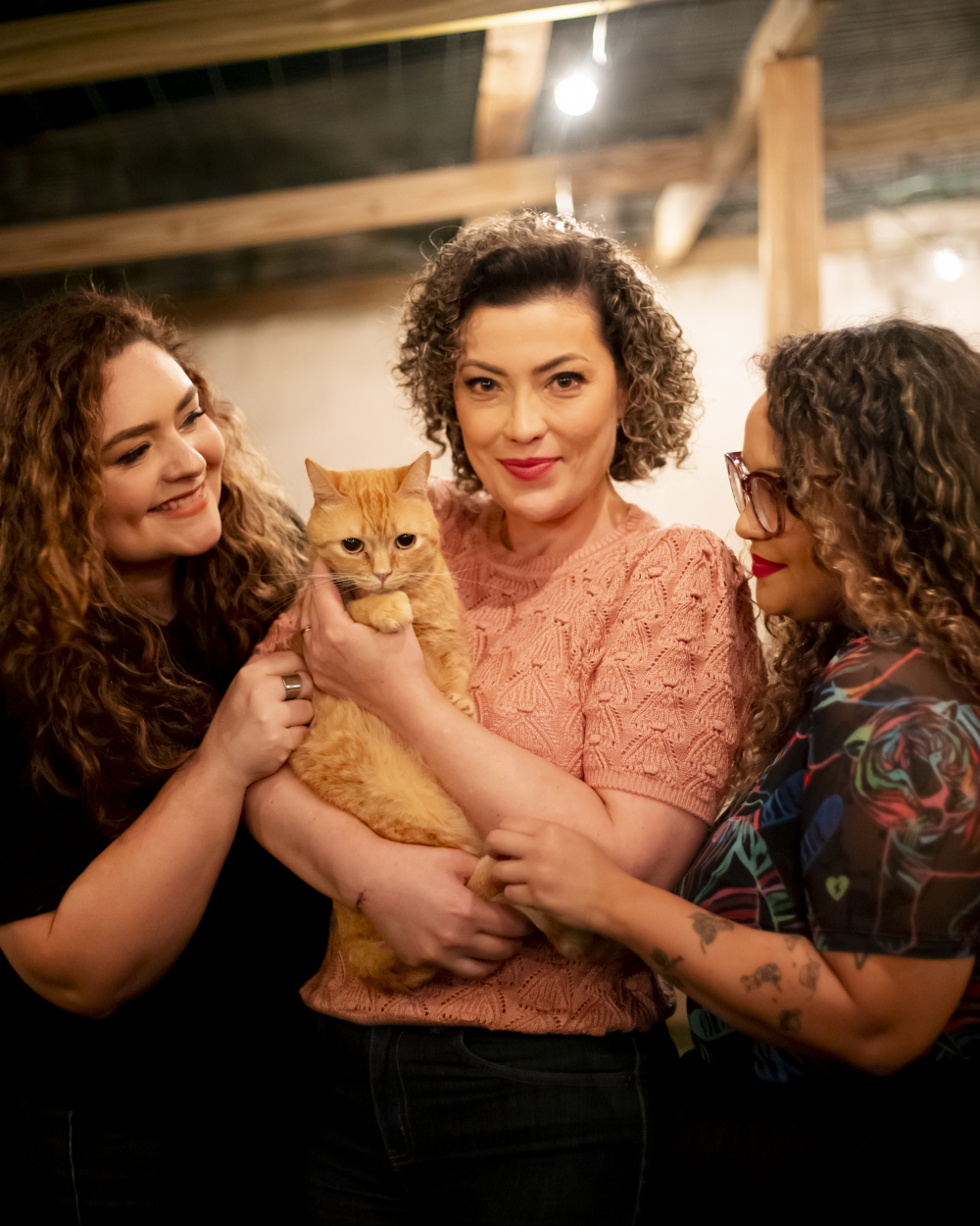 Noticenter - Florianópolis inaugura o primeiro cat café de Santa Catarina